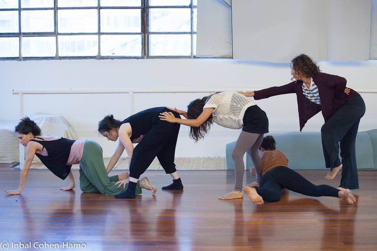 Contact Improvisation - Principles - סטודיו נעים